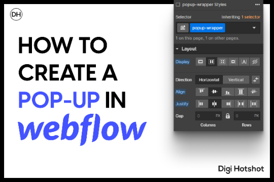 Static Pop-up and CMS Pop-up - Webflow